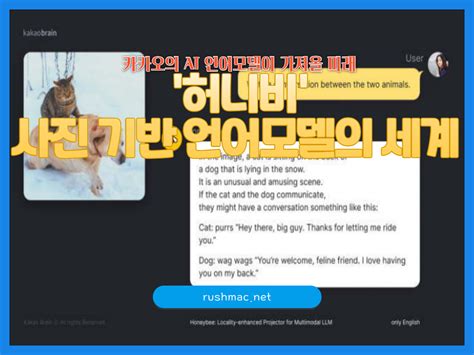 카카오의 혁신 Ai 언어모델 허니비가 사진 설명을 현실로 만들다 Rushmac