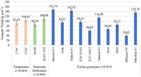 Tomato Yield Affected By Temperature Potassium Fertilization And