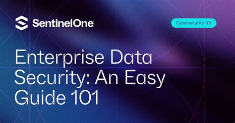 enterprise data security an easy guide 101 sentinelone