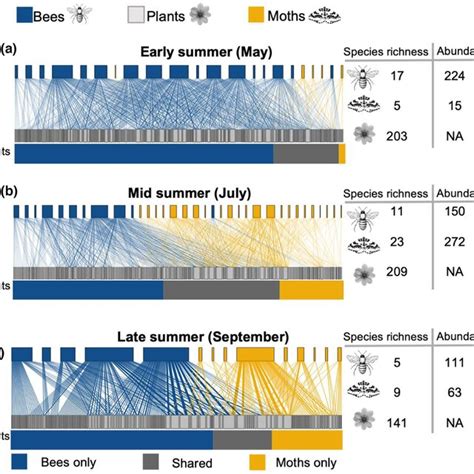 Negative Effects Of Urbanisation On Diurnal And Nocturnal Download Scientific Diagram