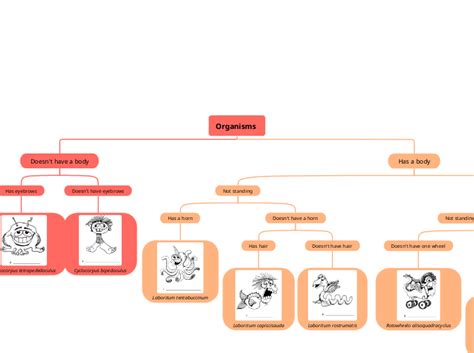 Lab Activity Constructing A Dichotom Mind Map
