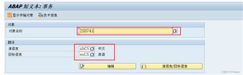Sap 翻译事务代码文本sap Se63 Csdn博客