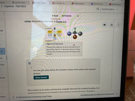 Proteins Flashcards Quizlet