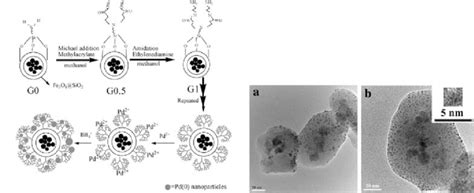 Illustration Of The Preparation Of Fe 3 O 4 Sio 2gn Pamam Pd0 Download Scientific Diagram
