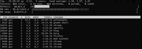 Comando Top Linux Bfnetworks