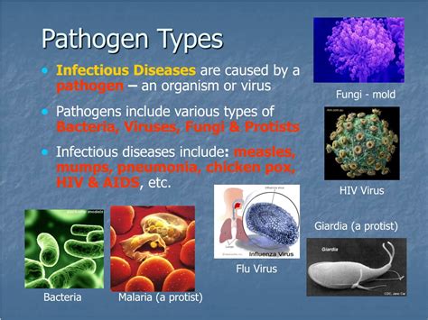 5 Types Of Pathogens