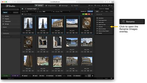 Rename And Renumber Assets Knowledge Base