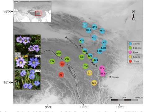 Table 1 From Cryptic Diversity And Rampant Hybridization In Annual