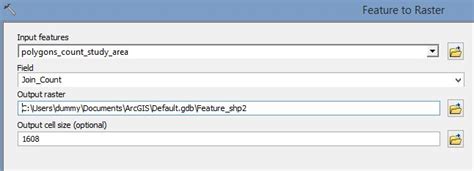 polygon grid into raster with arcmap geographic information systems