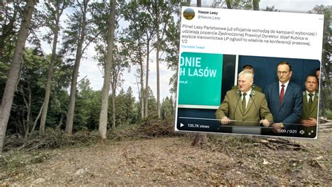 Lasy Państwowe w kampanii wyborczej Znacząca deklaracja WIDEO