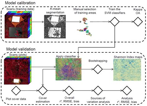 Schematic Work Flow Of The Analysis Download Scientific Diagram