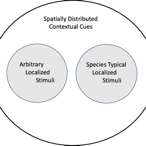 Major Stimulus Categories In The Sexual Behavior System Download Scientific Diagram