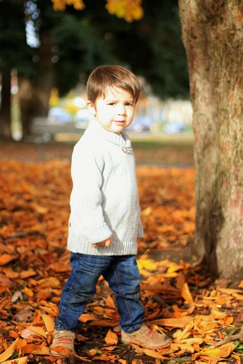 Meet Maxwell My Model