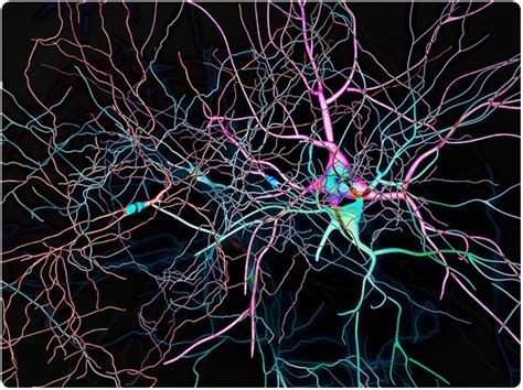 Introduction To Optogenetics