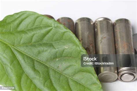 다양 한 종류의 폐기물 배터리 흩어져 있습니다 녹색 수 분이 많은 잎으로 덮여 에 흰색 배경 위에서 볼 수 있습니다 환경 유해 폐기물 처리 환경 보호입니다 0명에 대한 스톡