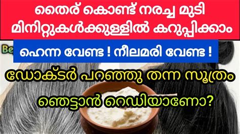 തൈര് കൊണ്ട് നരച്ച മുടി മിനിറ്റുകൾക്കുള്ളിൽ കറുപ്പിക്കാം ഹെന്ന വേണ്ട
