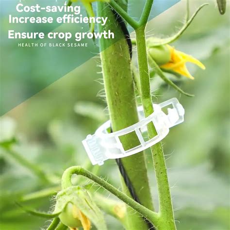 plant vegetable supporting clips reusable buckle design garden plants