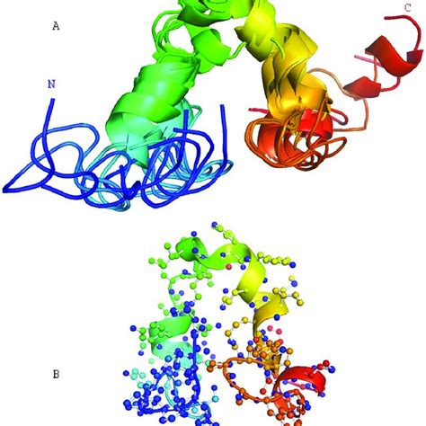 Functional Domains And Cleavage Products Of The Tooth Enamel Protein