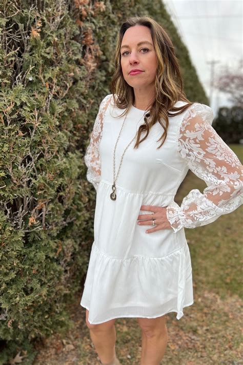 Sheer Jaquard Puff Long Sleeve Tiered Mini Dress Shopperboard
