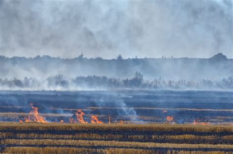 Reporte Oficial Por Los Incendios En Argentina Corrientes Y Catamarca