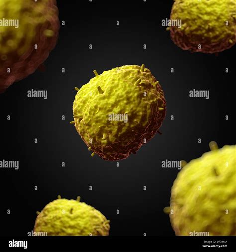 H1N1 Influenza Virus Artwork Stock Photo Alamy