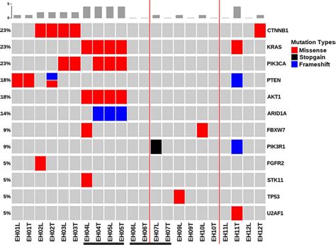 Distributions Of Gene Mutations Identified In Endometrial Lavage