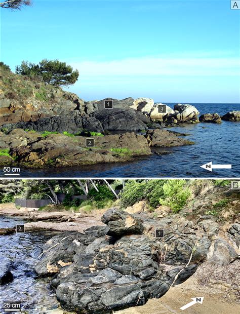 A The Various Lithotypes Recognized In The Main Outcrop Fig 2b