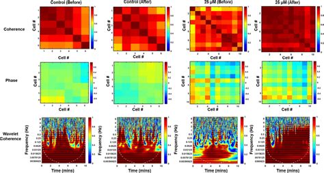 Representative Plots Of Coherence Matrices Phase Matrices And