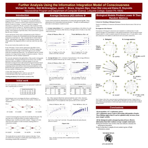 Further Analysis Using The Information Integration Model Of
