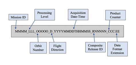 data formats in depth alaska satellite facility