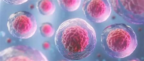 新闻资讯 杭州凤喆凰生物科技有限公司