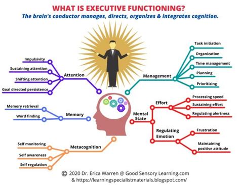 Executive Functioning Cognitive Remedial Bundle Executive Functioning