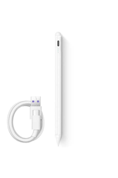 Ally K 2259 Ipad 2018 Ve Sonrası Avuç Içi Reddi Aktif Stylus Kalem