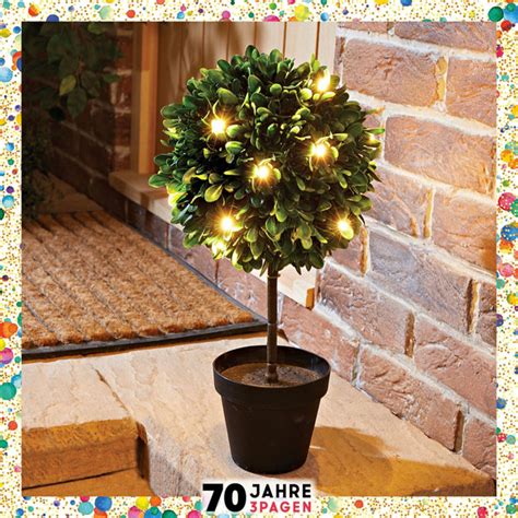 Künstlicher Buchsbaum Im Topf Mit Led Gainsborough 61219000 3pagen