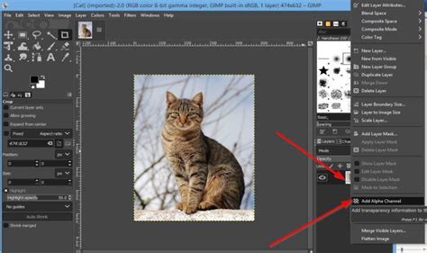 how to remove the background from a photo using gimp remove