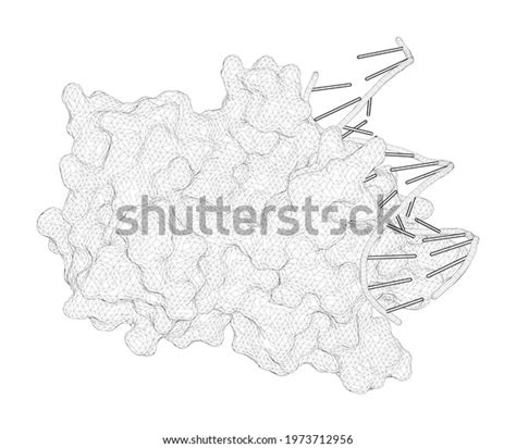 3d Rendering Line Drawing Molecule Principles Stock Illustration 1973712956 Shutterstock