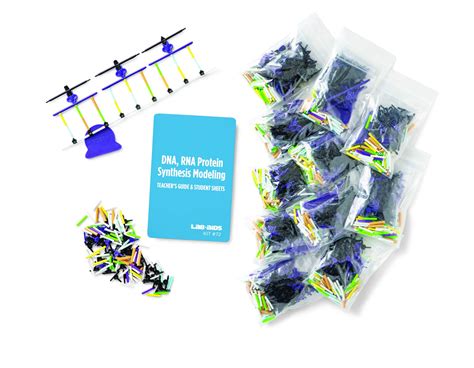 Buy Rna Protein Synthesis Modeling Kit 72 Demystify The Rna Connection In Protein Synthesis Buy Rna Protein Synthesis Modeling Kit 72 Demystify The Rna Connection In Protein Synthesis