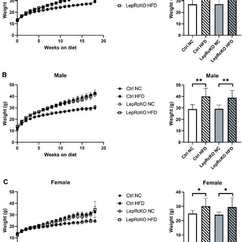 T Cell Specific Leptin Receptor Knockout Mice And Littermate Controls