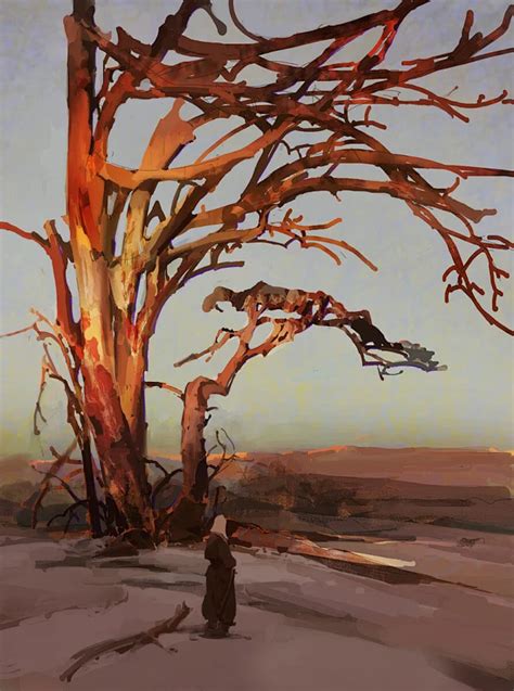 乔杉不是乔杉的照片 微相册图片场景图片素材 花瓣网