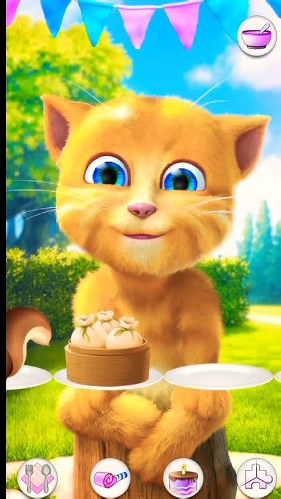 Talking Ginger 🐈🐈🐈🍩🐿️🍓🍉🍎🍅shorts Talkingginger Funny Talkingginger2