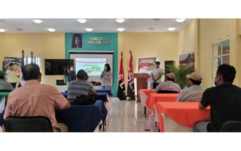 Nicaragua Avanza En El Plan De Reforestación