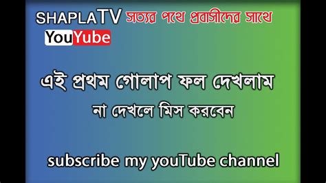 গোলাপ ফল ও তীন ফলের বাগান। Youtube