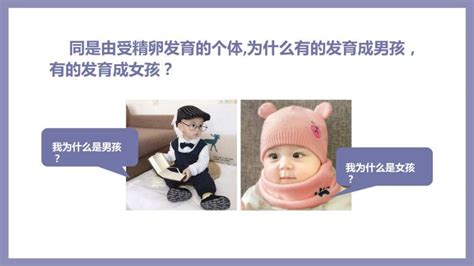 人教版 新课标八年级下册第四节 人的性别遗传教课内容ppt课件 教习网课件下载