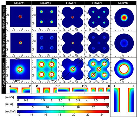 Perfusable Tissue Bioprinted Into A 3d Printed Tailored Bioreactor System