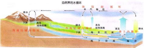 自然界的水循环示意图 地球上的水 初高中地理网