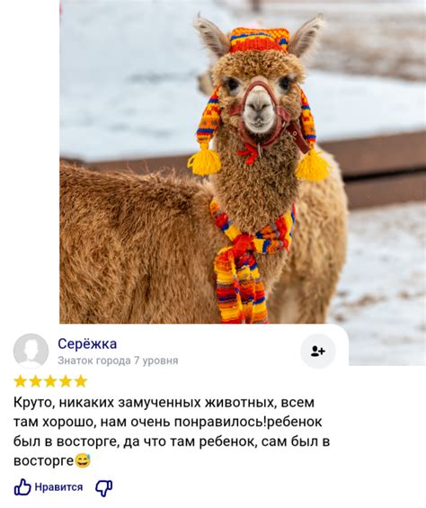 Парк Альпак в Казани недалеко от острова Свияжск