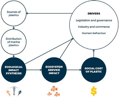 Conceptual Diagram Describing The Three Step Approach Used To Assess