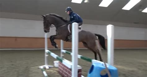 Wednesday Video From Kentucky Performance Products Olivia Dutton