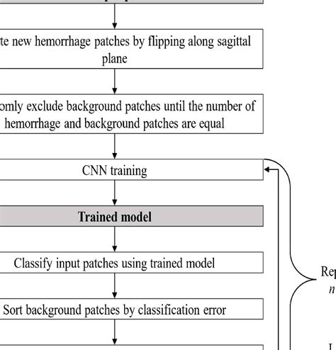 steps of the training process of the convolutional neural network cnn