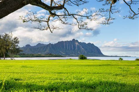 Oahu Spine And Rehabilitation Over 90 Five Star Patient Reviews